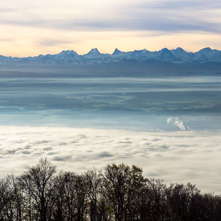 Hotel Weissenstein | Swiss hospitality collection